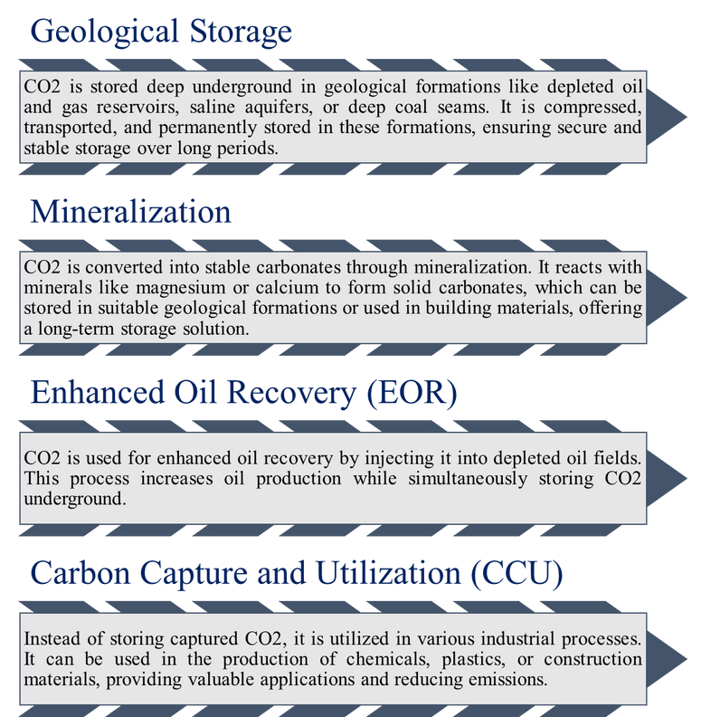 Decarbonization Strategies for Steel Manufacturing - Minception